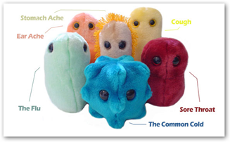 You Can Buy the H1N1 Swine Flu And Other Viruses – The Plush Versions ...